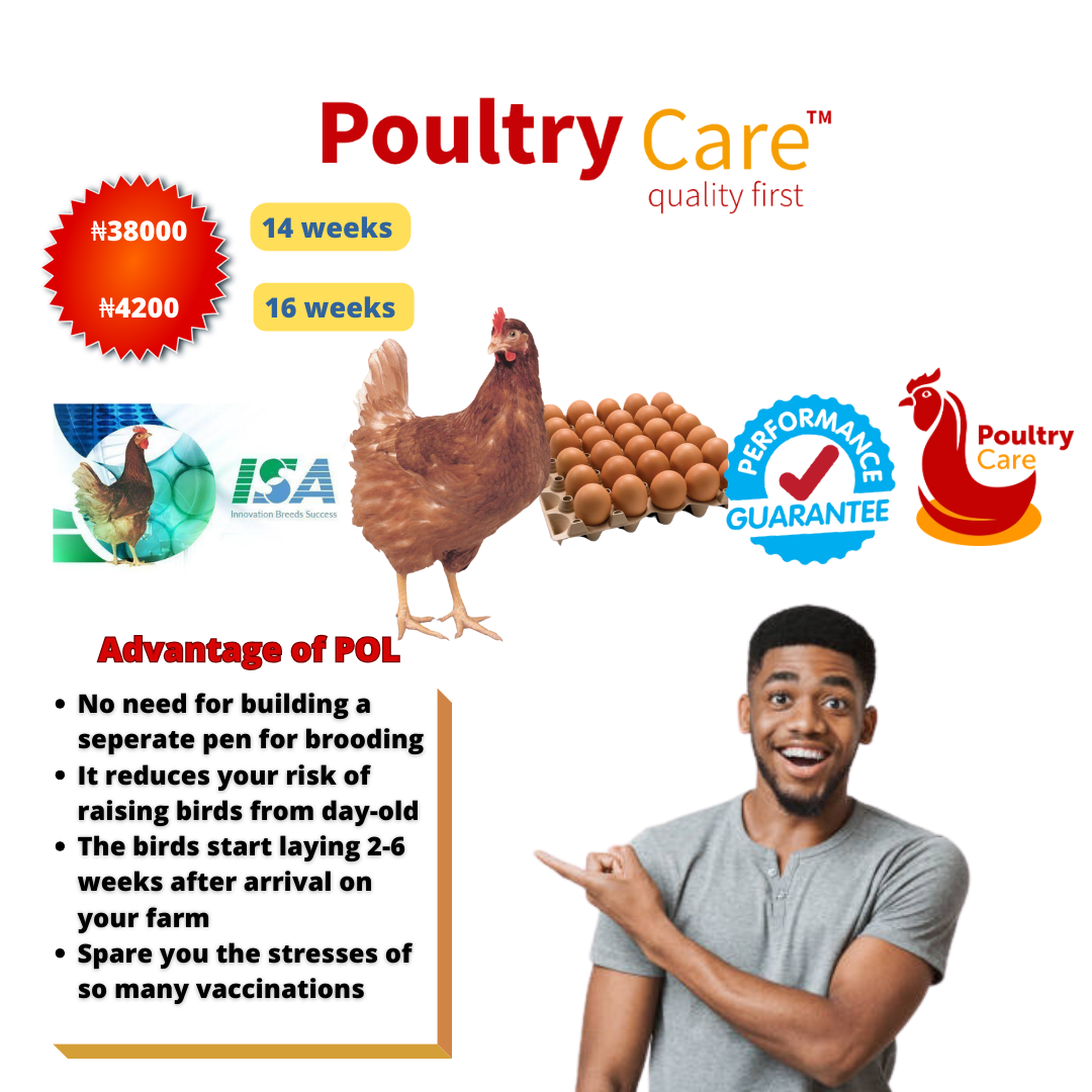 Poultrycare