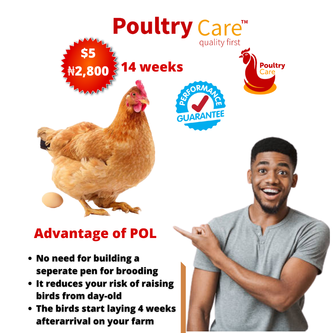 Poultrycare