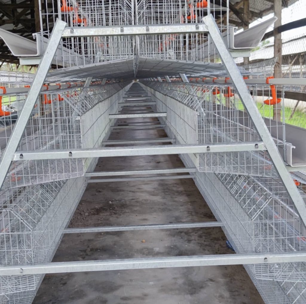 Cage-3 tiers 120 per Set – Poultrycare