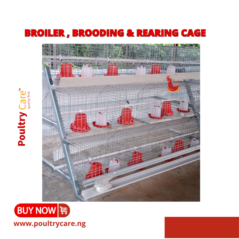 BROILER , Brooding & Rearing CAGE – Poultrycare